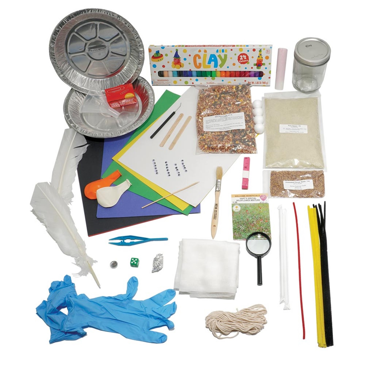 Exploring Creation with Zoology 1, 2nd Ed Home Science Tools Lab Kit ...