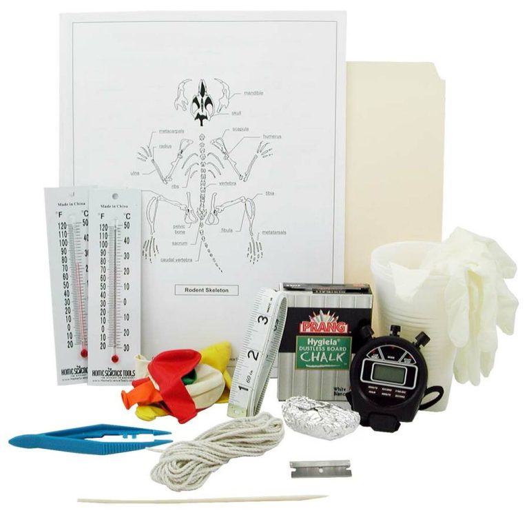Exploring Creation with Zoology 3, 1st Ed Home Science Tools Lab Kit ...