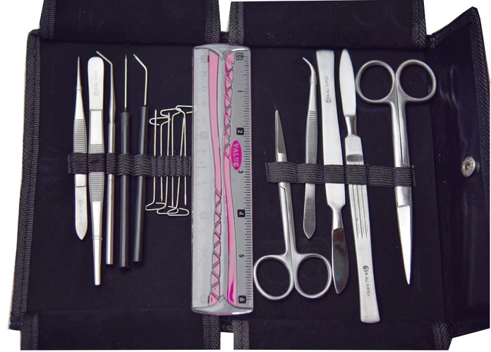 High School Dissecting Tools Set – The Learning House